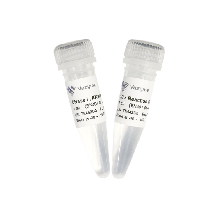 FastPure Universal Plant Total RNA Isolation Kit – vazymebiotech.eu